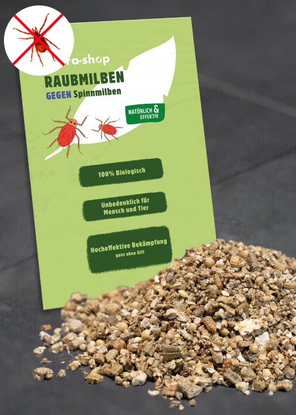 Nützlinge zur Schädlingsbekämpfung kaufen – Futura-Shop